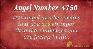 Angel Numbers Category | Sun Signs