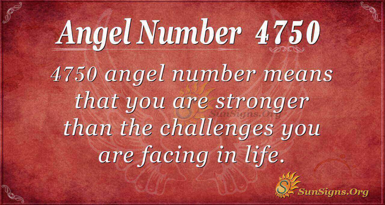 Angel Numbers Category | Sun Signs
