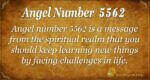 Angel Numbers Category | Sun Signs