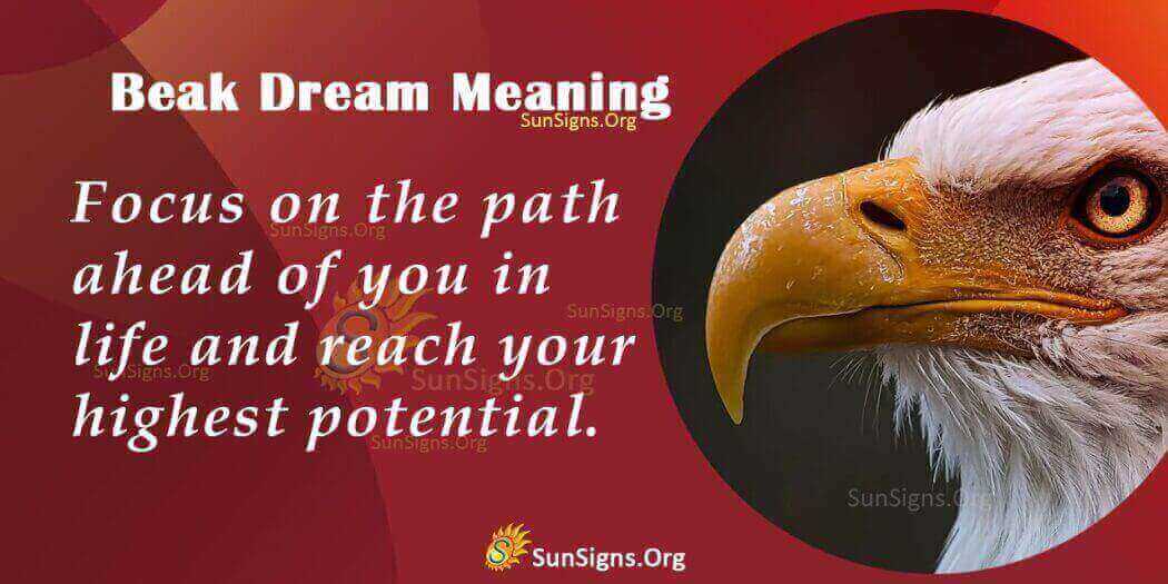 Dreaming Of A Beak - Meaning, Interpretation And Symbolism