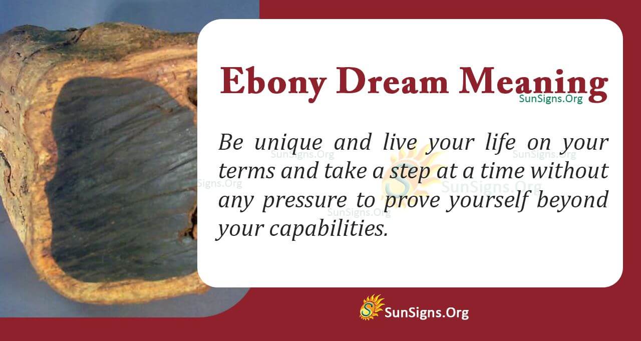 Seeing Ebony In Your Dream - Meaning, Interpretation And Symbolism ...