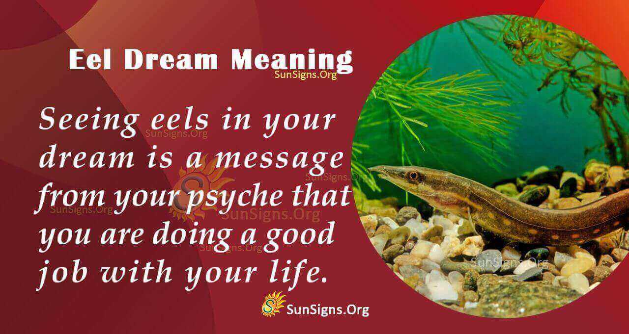 What Is Dream Meaning Of Eel? - Interpretation And Symbolism - SunSigns.Org