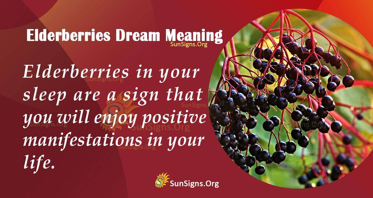 Dream Of Elderberries - Meaning, Interpretation And Symbolism ...
