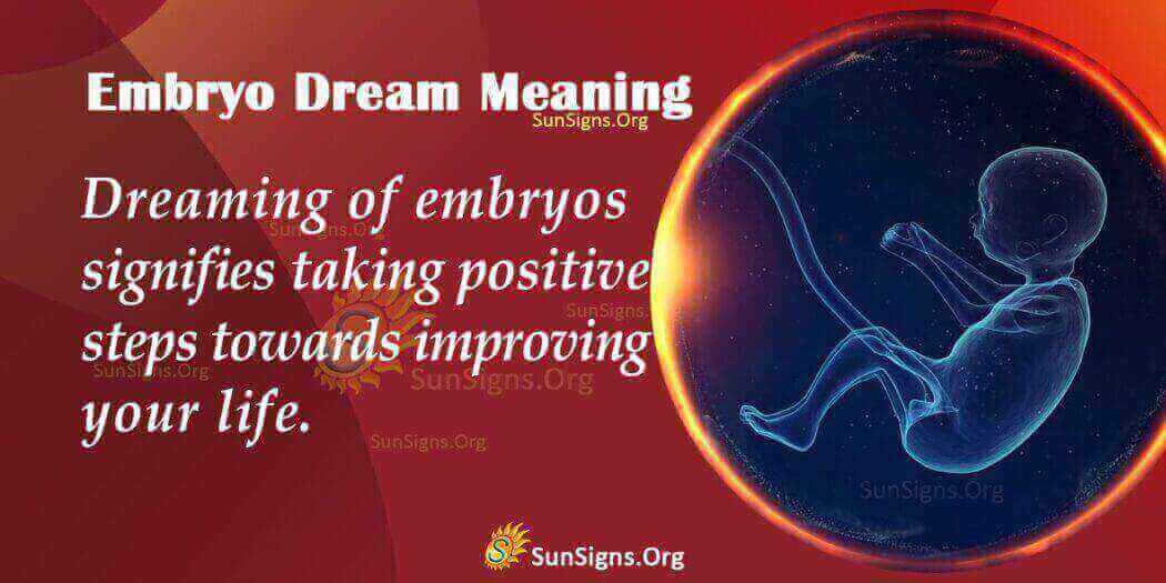 What Is The Meaning Of An Embryo Dream? Interpretation And Symbolism ...