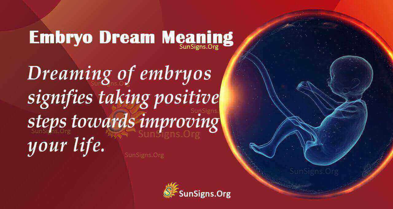 What Is The Meaning Of An Embryo Dream? Interpretation And Symbolism ...