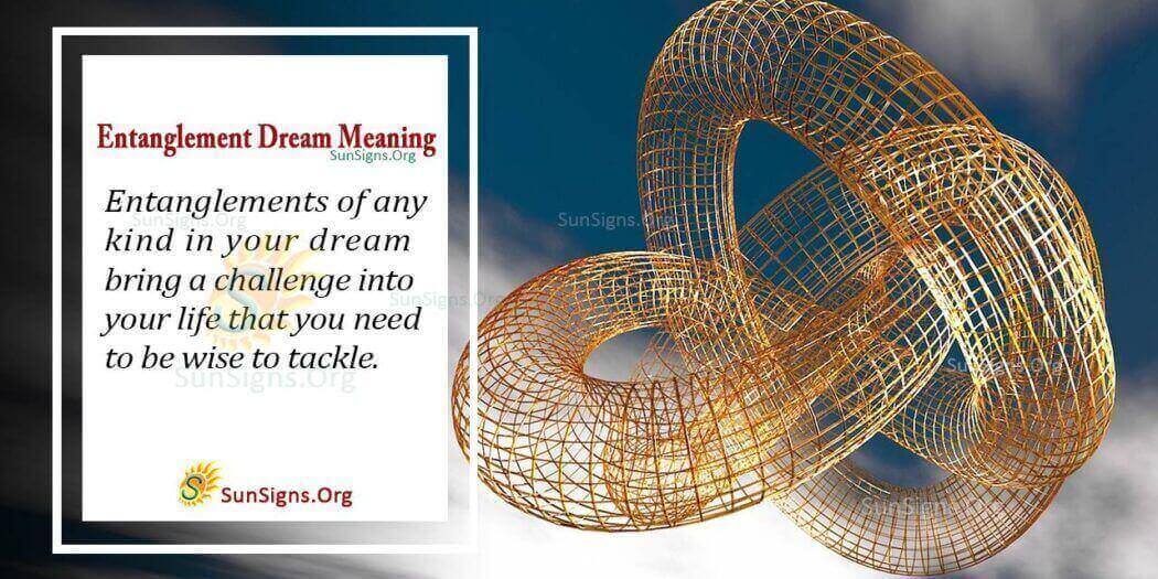 Dream Of Entanglement - Meaning, Interpretation And Symbolism ...