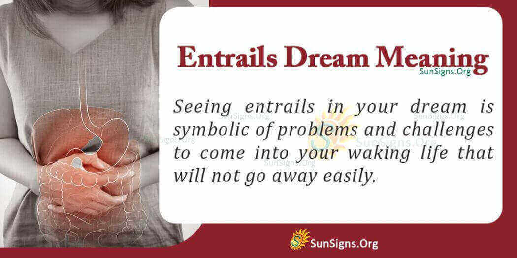 Seeing Entrails in Your Dream - Meaning, Interpretation And Symbolism ...