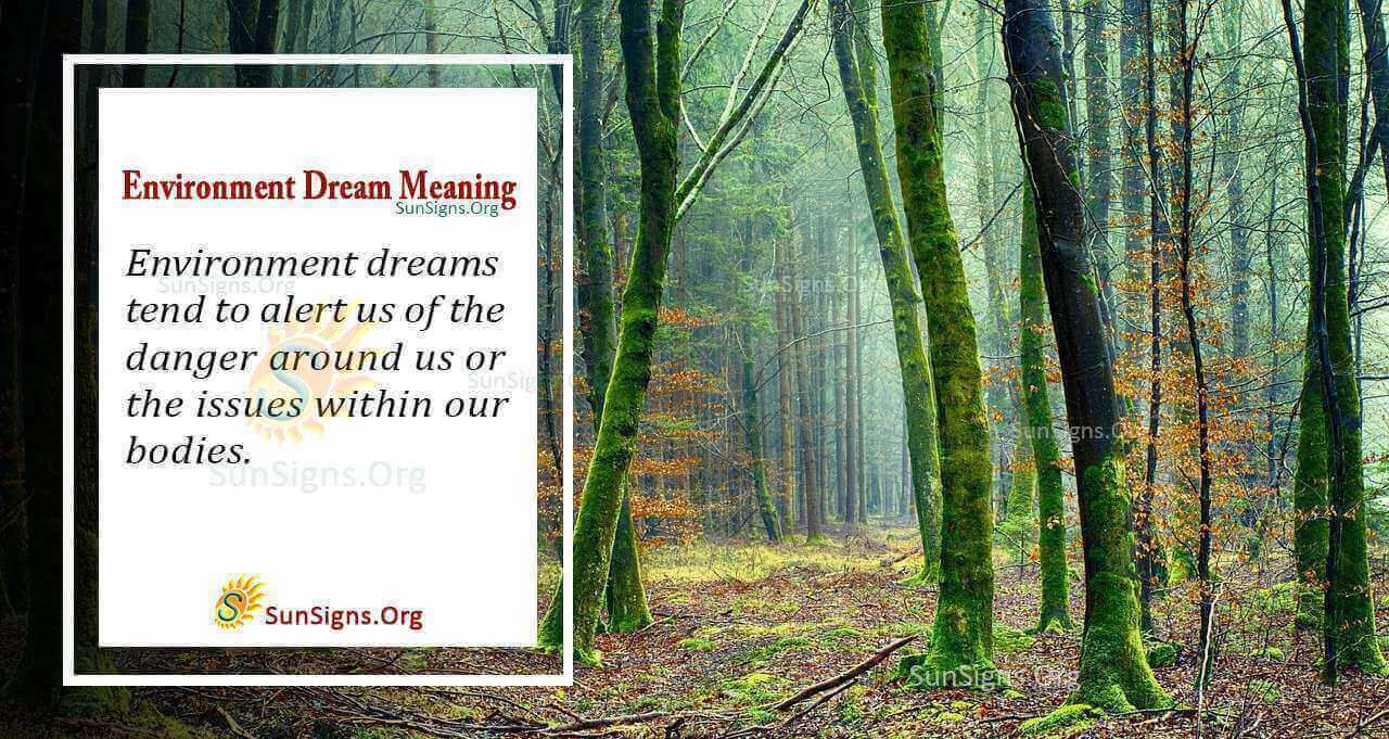 Dream About An Environment - Meaning, Interpretation And Symbolism ...