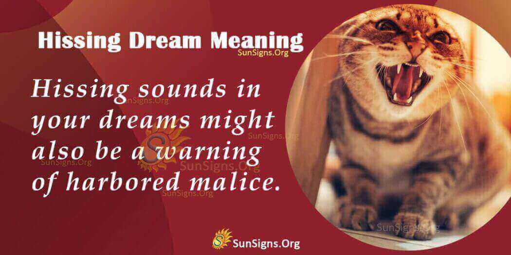 Dream Meaning Of Hissing - Interpretation And Symbolism