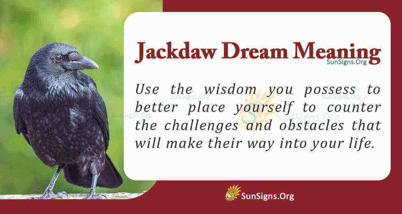 Dreaming Of A Jackdaw - Meaning, Interpretation And Symbolism