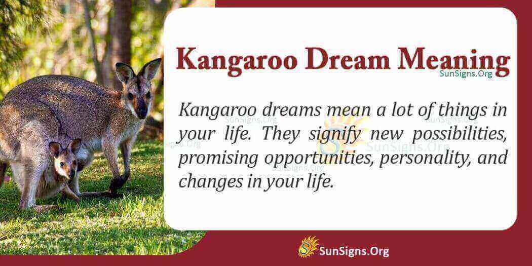 What Is The Meaning Of A Kangaroo Dream - Interpretation And Symbolism - SunSigns.Org