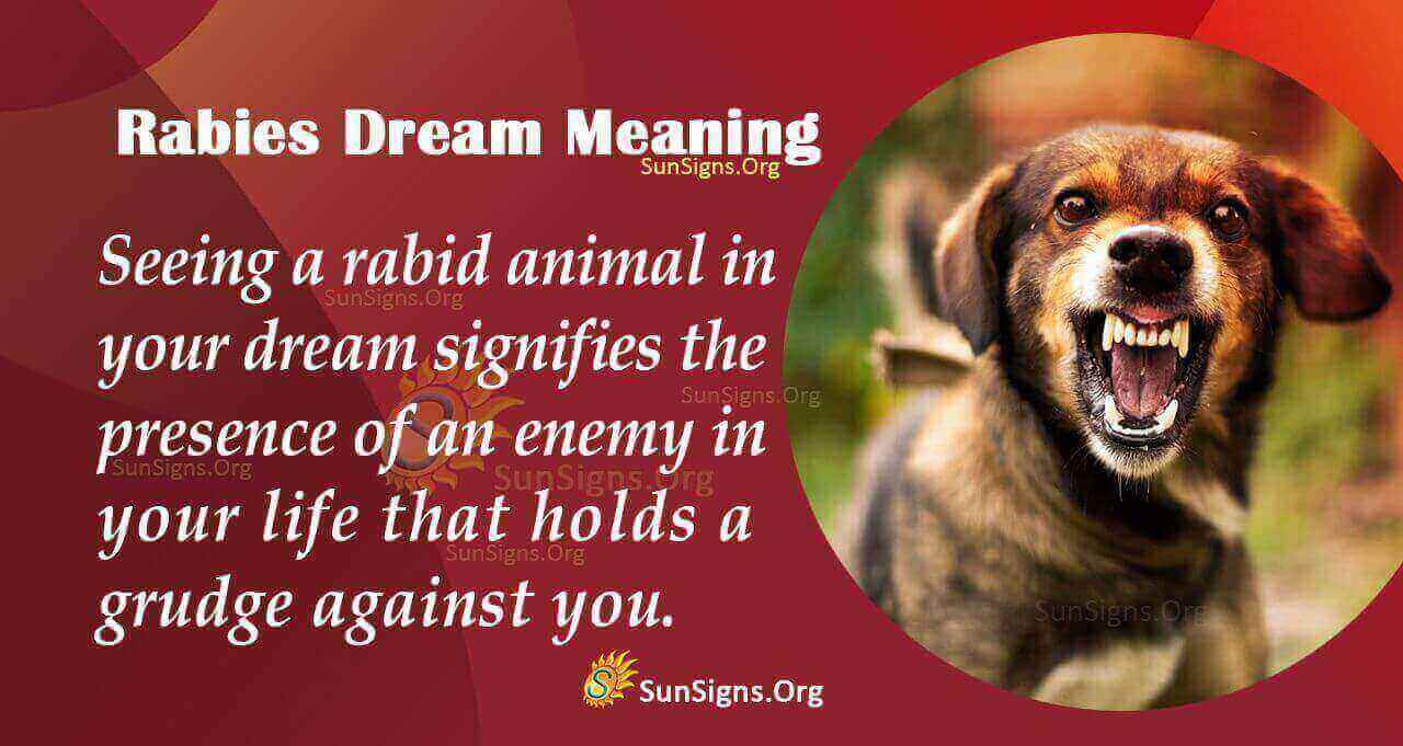 To Dream About Rabies - Meaning, Interpretation And Symbolism ...