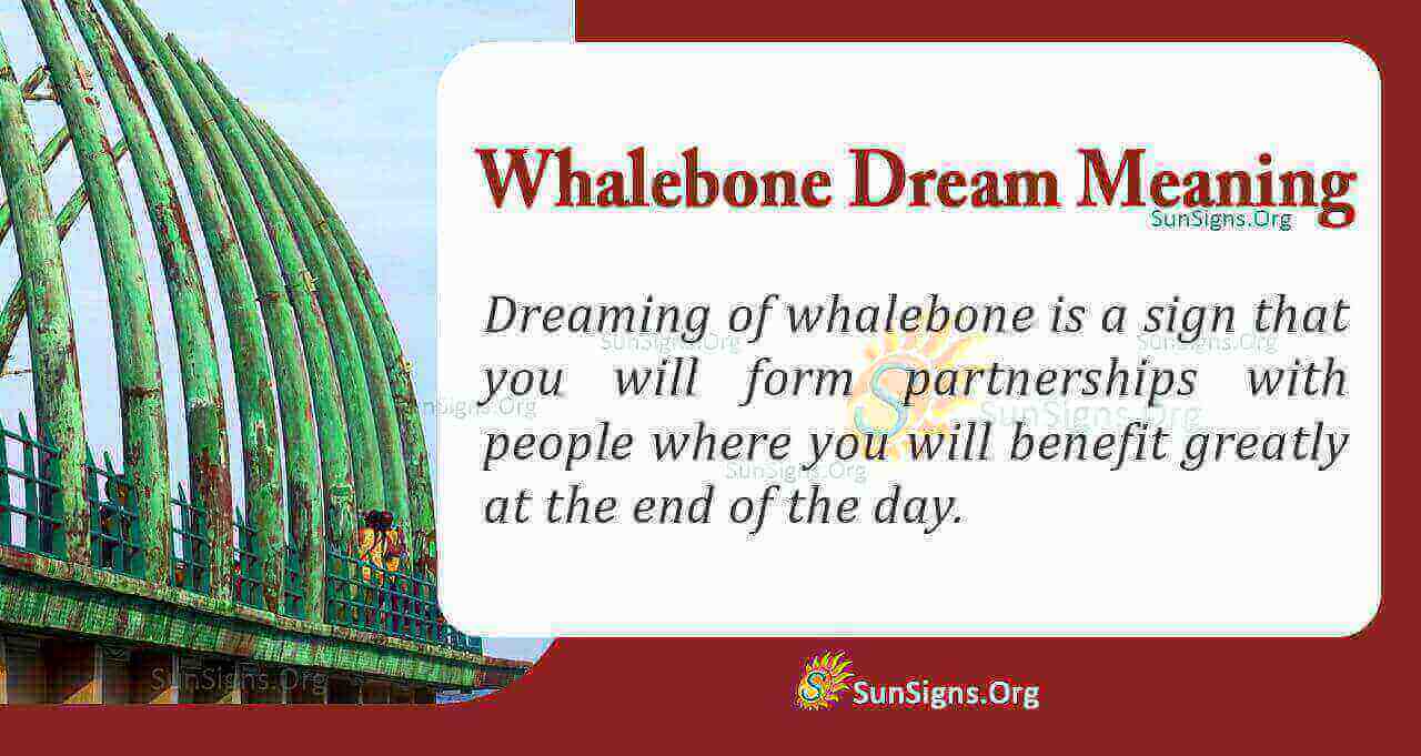 The Significance Of A Whalebone Dream - Meaning, Interpretation And ...