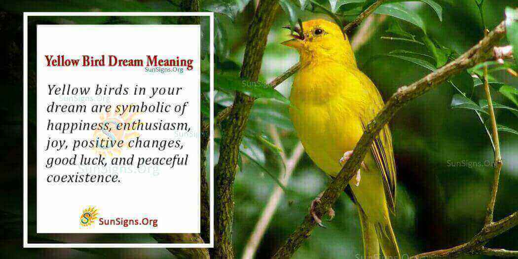 Meaning Of An Yellow Bird Dream - Interpretation And Symbolism ...