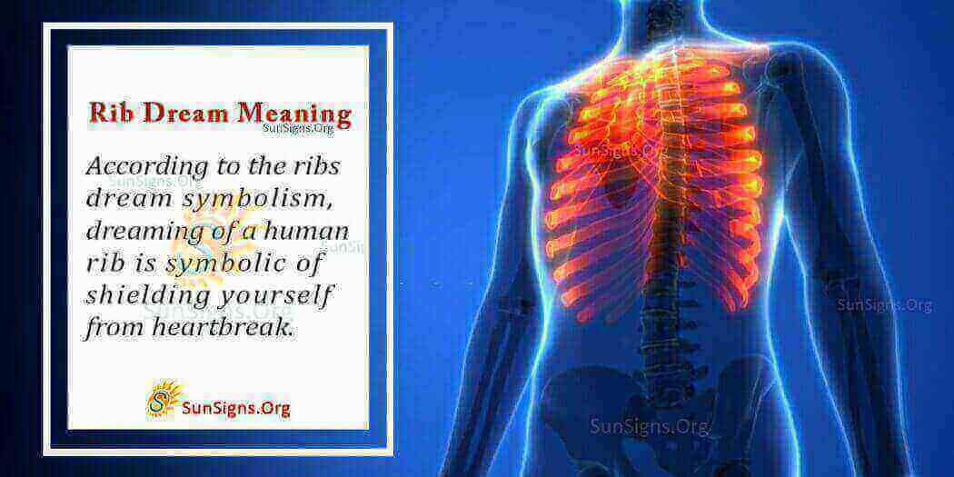 Seeing Ribs In Your Dream - Meaning, Interpretation And Symbolism ...