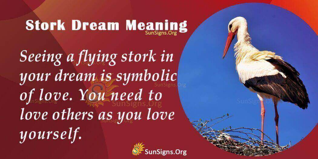 Seeing A Stork In Dreams - Meaning, Interpretation And Symbolism ...