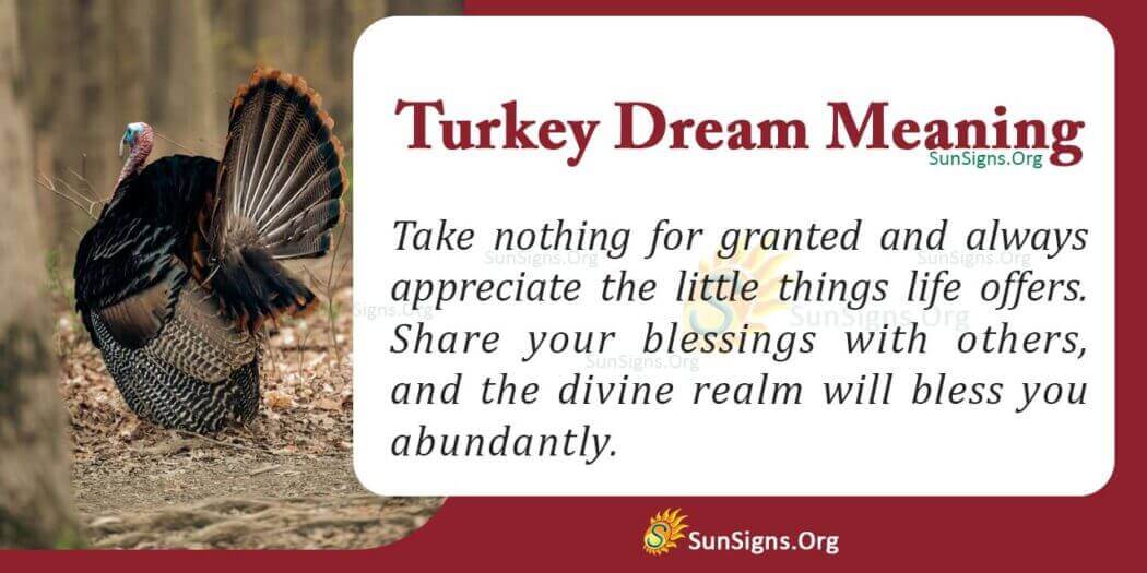 Dreaming Of A Turkey - Meaning, Interpretation And Symbolism - SunSigns.Org