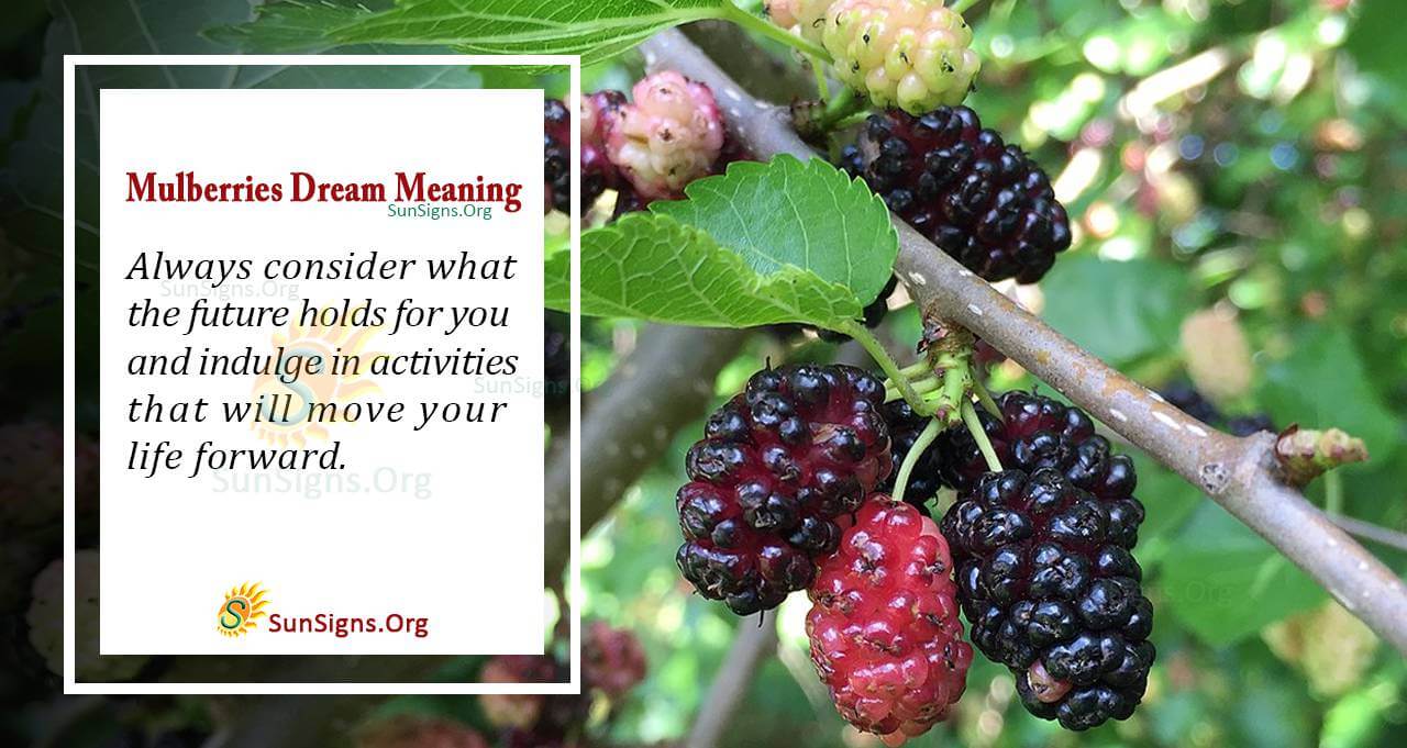 Meaning Of A Mulberry Dream - Interpretation And Symbolism - SunSigns.Org