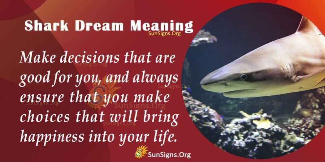Dreaming Of A Shark - Meaning, Interpretation And Symbolism - SunSigns.Org