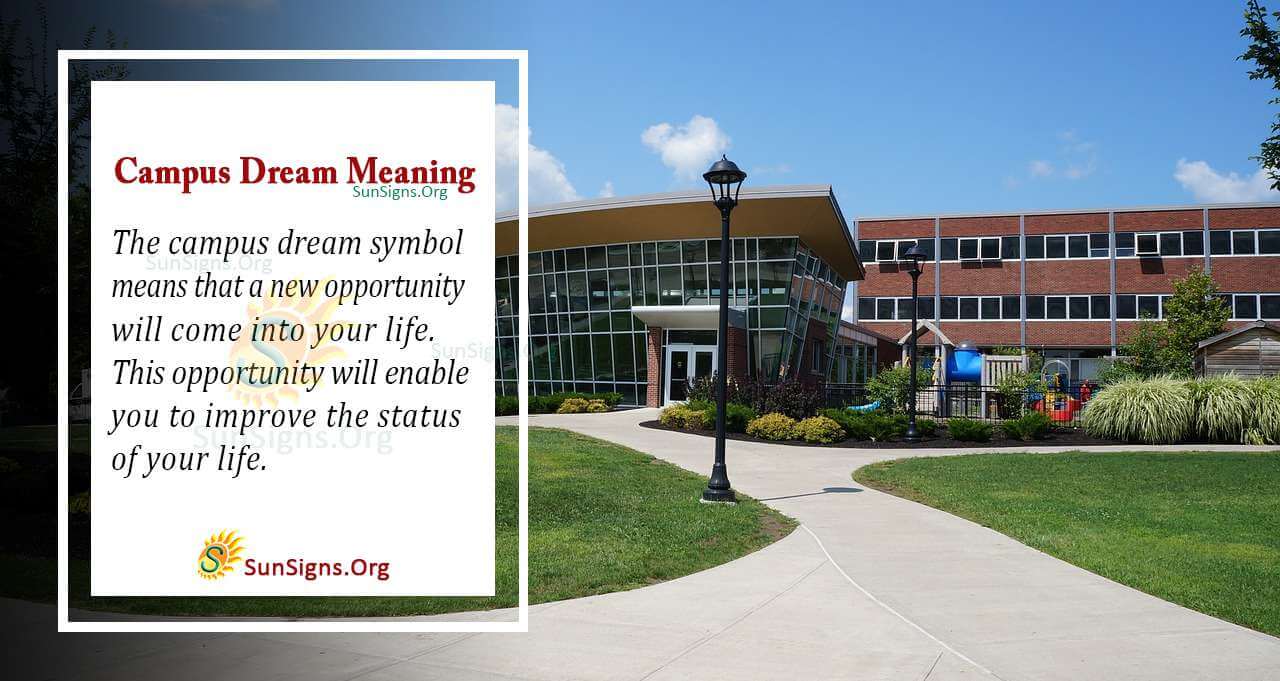Meaning Of A Campus Dream - Interpretation And Symbolism