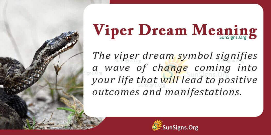 Dream About a Viper - Meaning, Interpretation and Symbolism - SunSigns.Org