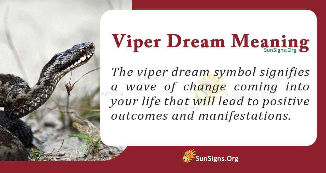 Dream About a Viper - Meaning, Interpretation and Symbolism - SunSigns.Org