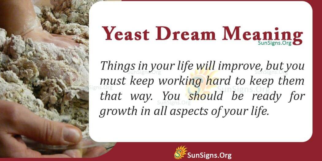 Dreaming of Yeast and Its Meaning, Interpretation and Symbolism ...
