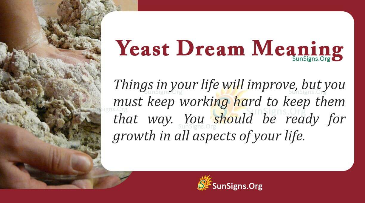 Dreaming of Yeast and Its Meaning, Interpretation and Symbolism ...