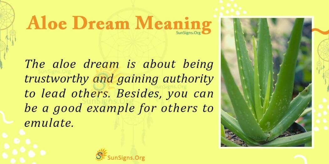 Aloe Dream Symbol - Meaning, Interpretation And Symbolism - SunSigns.Org