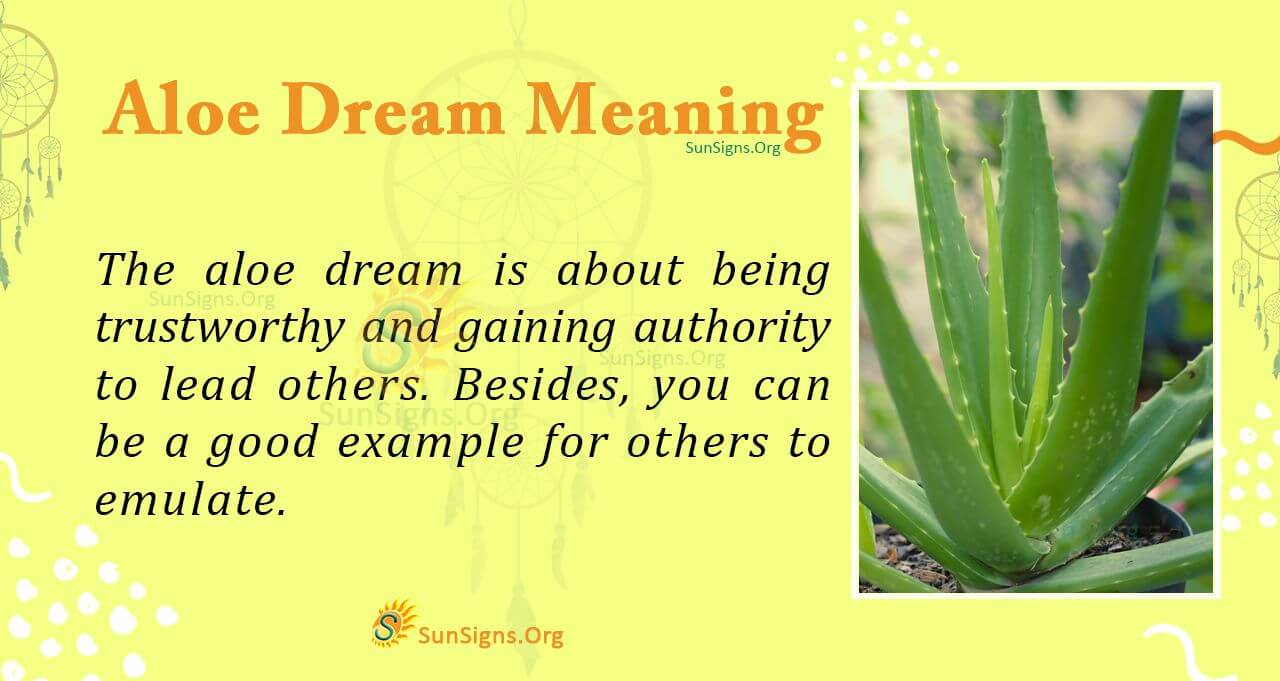 Aloe Dream Symbol - Meaning, Interpretation And Symbolism - SunSigns.Org