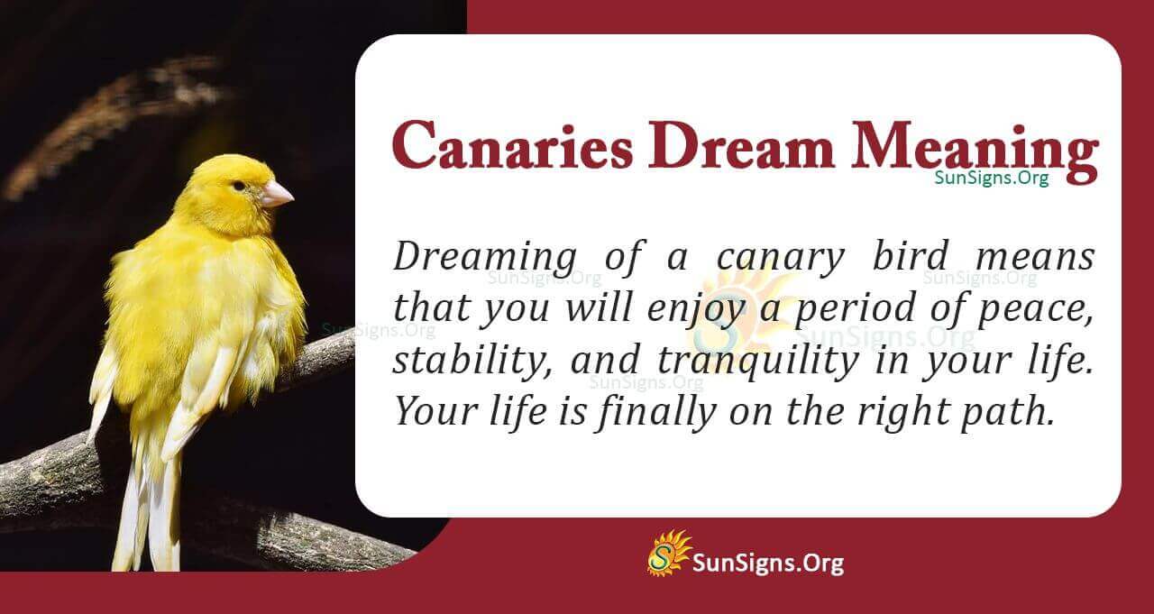 What Is The Meaning Of A Canary Bird Dream? - Interpretation And ...