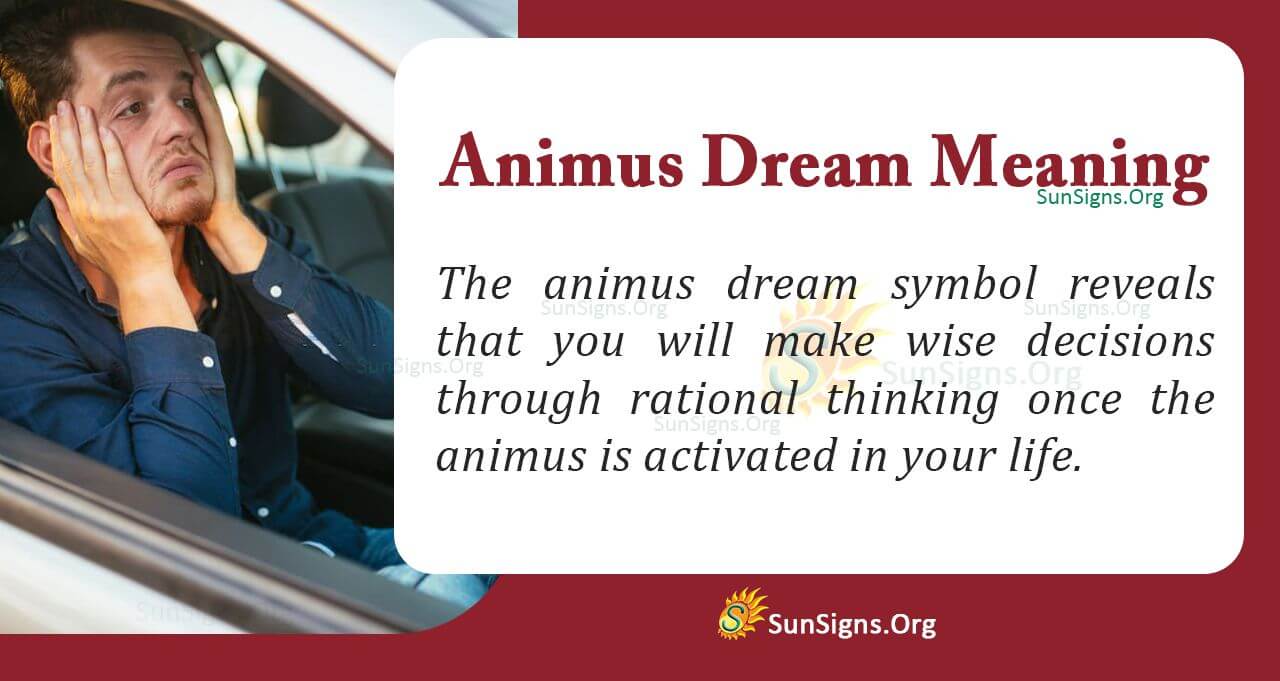 Animus In Your Dream - Meaning, Interpretation And Symbolism
