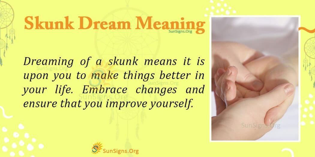 Understanding the Meaning of a Skunk Dream - Interpretation and ...