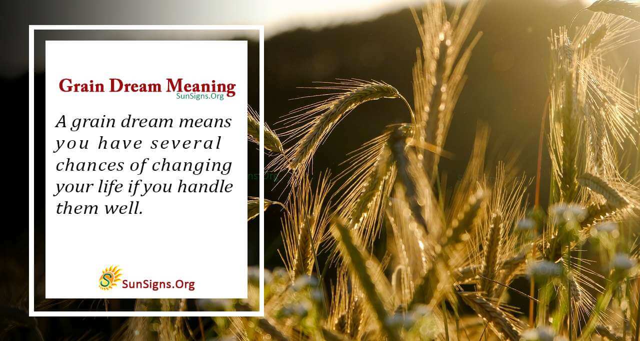 What Does Seeing Grains In A Dream Mean? - Interpretation And Symbolism ...