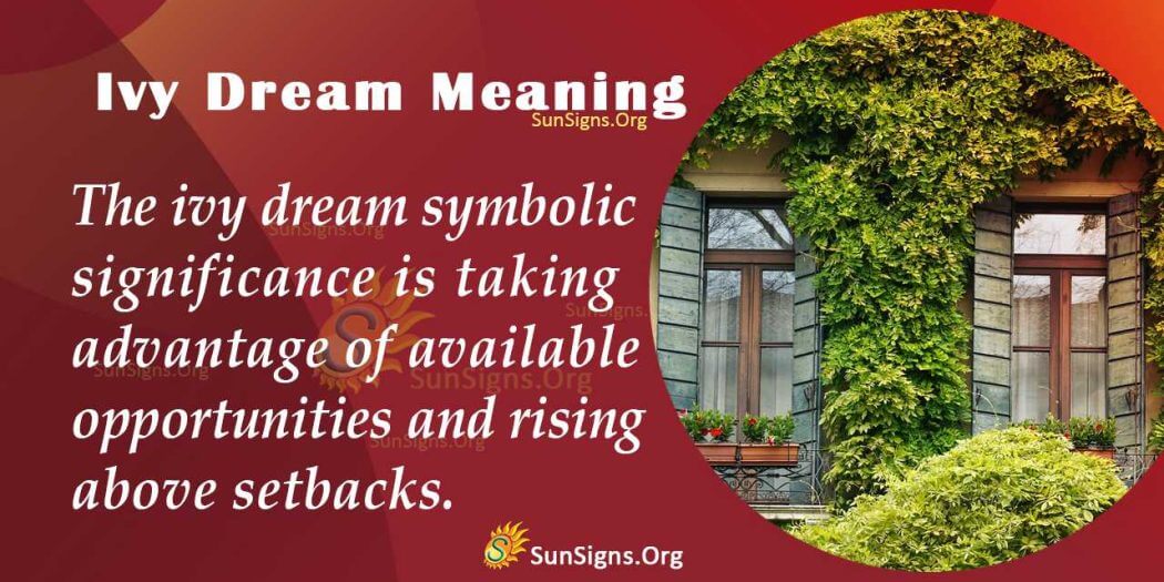 Significance of Ivy Dream - Meaning, Interpretation and Symbolism ...