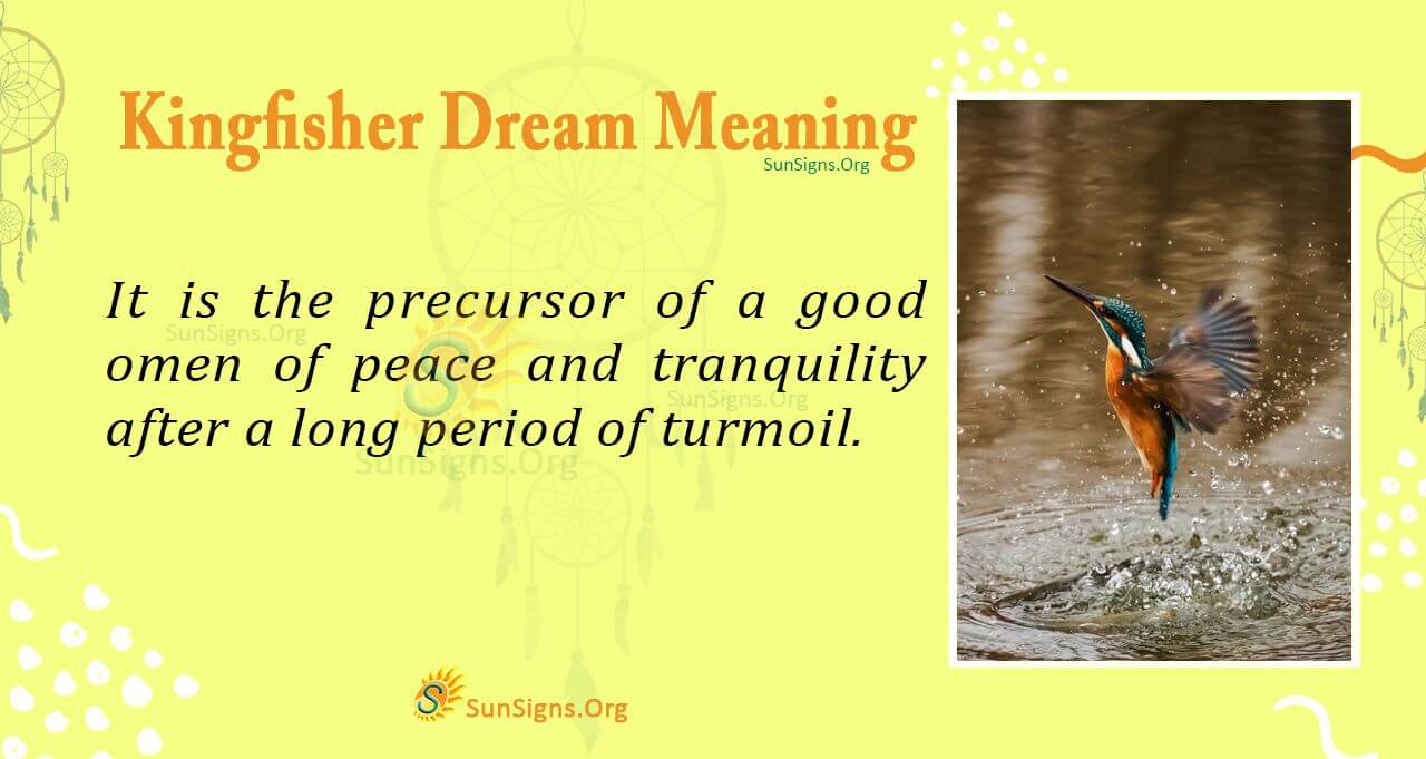 Seeing A Kingfisher In Your Dream - Meaning, Interpretation And ...