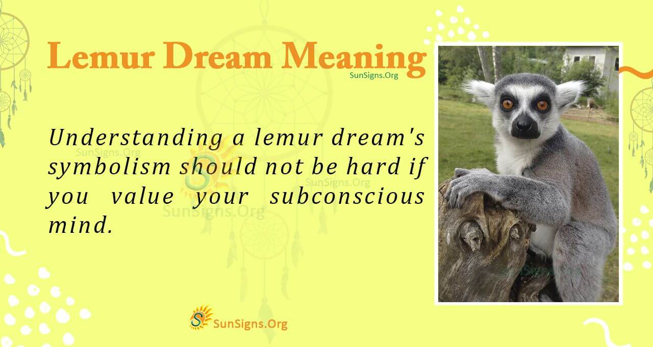What Is The Meaning Of A Lemur Dream? - Interpretation And Symbolism ...