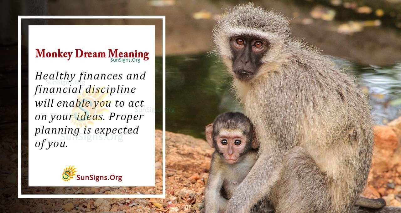 Dream About a Monkey - Meaning, Interpretation and Symbolism - SunSigns.Org