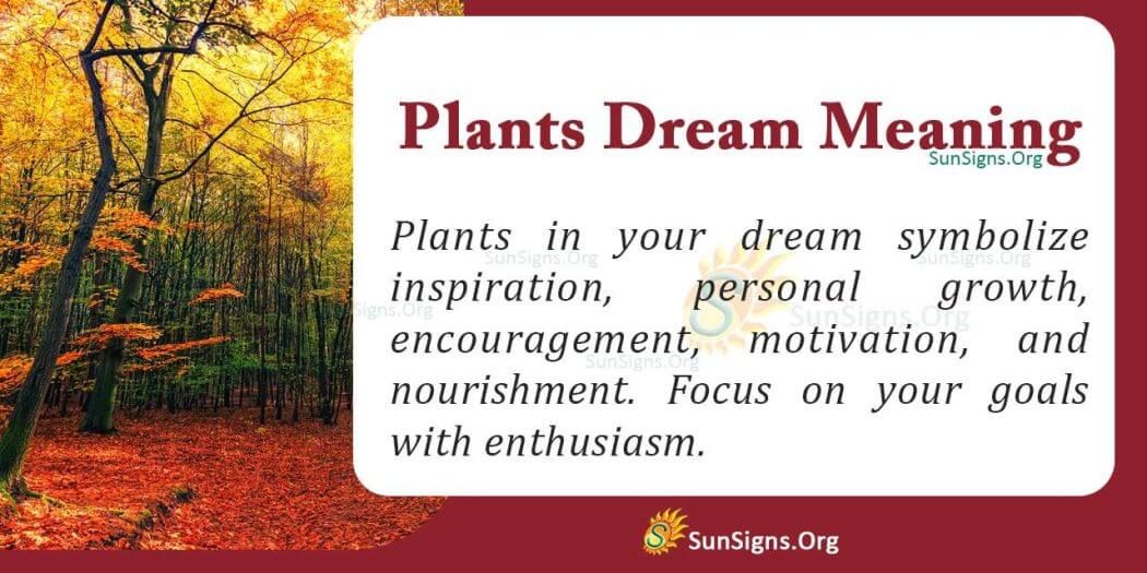 Plants Dream Symbol - Meaning, Interpretation and Symbolism - SunSigns.Org