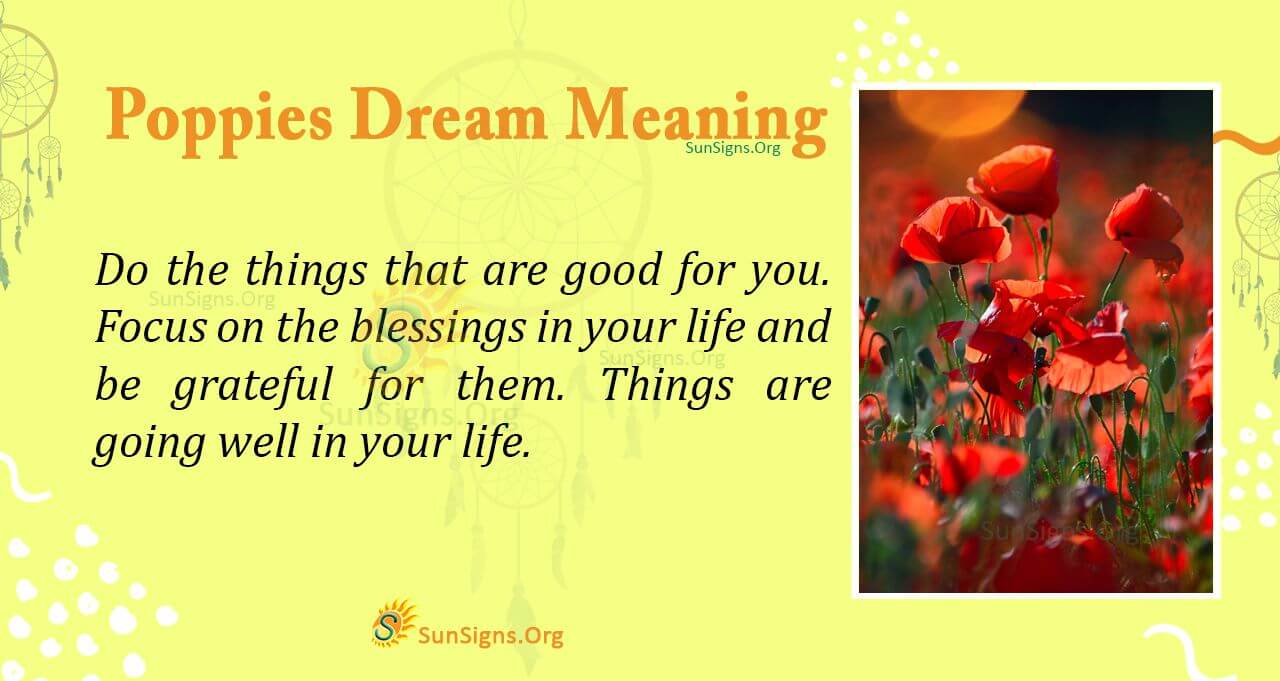 Dream About Poppy - Meaning, Interpretation And Symbolism - SunSigns.Org