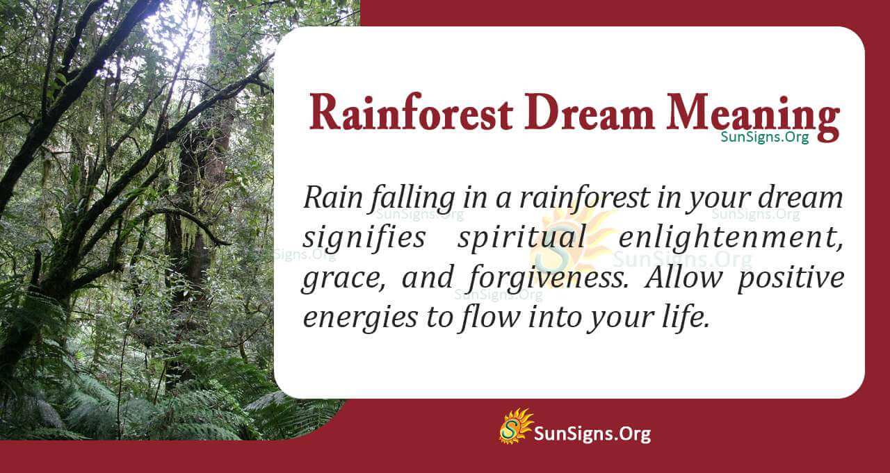 Names Meaning Rain Forest at Sarita Sturgeon blog