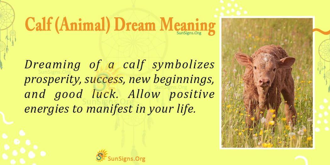 Calf Dream Symbol - Meaning, Interpretation and Symbolism - SunSigns.Org