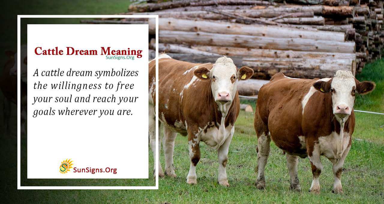 Meaning Of A Cattle Dream - Interpretation And Symbolism - SunSigns.Org