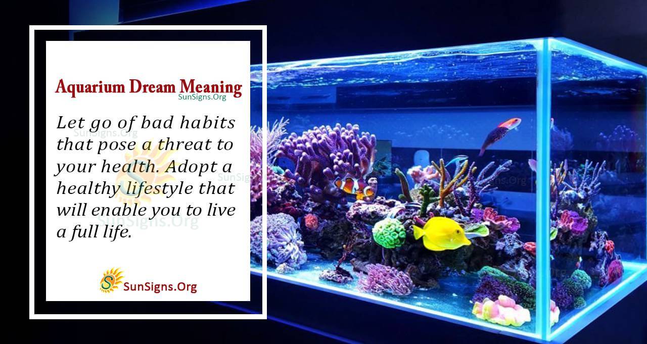 An Aquarium in Your Dream - Meaning, Interpretation and Symbolism ...
