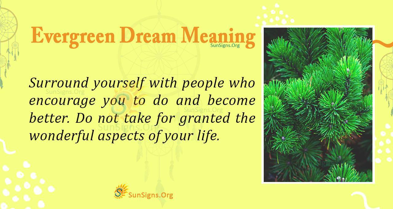 Seeing Evergreen In Your Dream - Meaning, Interpretation and Symbolism - SunSigns.Org