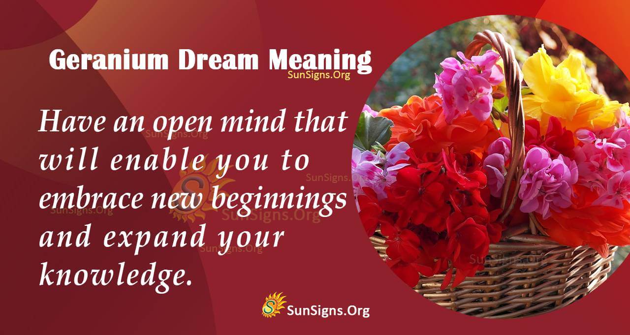 Seeing Geranium In A Dream - Meaning, Interpretation and Symbolism ...