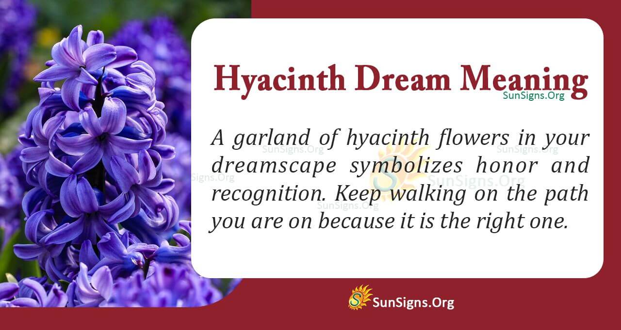 Dreaming Of Hyacinth - Meaning, Interpretation And Symbolism - SunSigns.Org