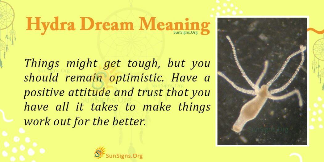 Seeing Hydra in Your Dream - Meaning, Interpretation and Symbolism ...