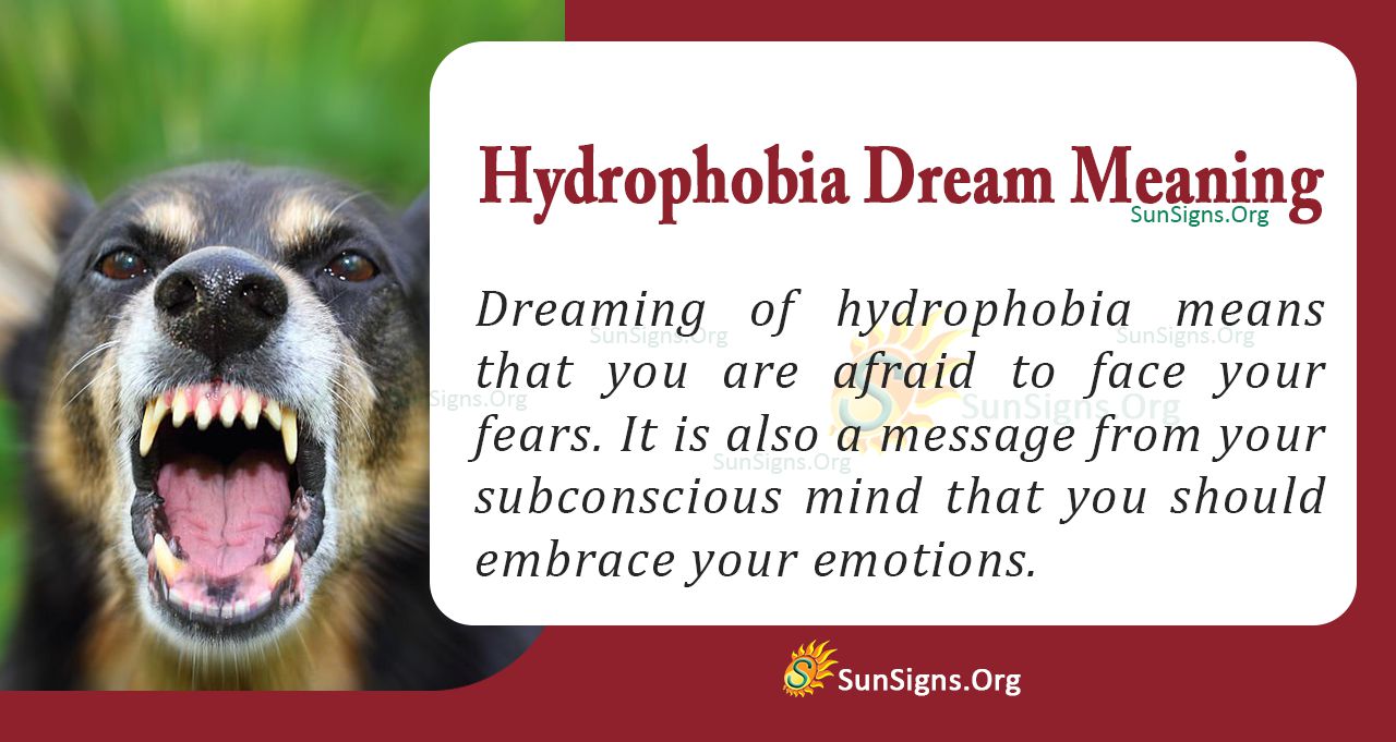 Dream About Hydrophobia - Meaning, Interpretation And Symbolism ...