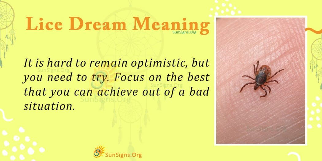 Dreaming Of Lice - Meaning, Interpretation and Symbolism - SunSigns.Org